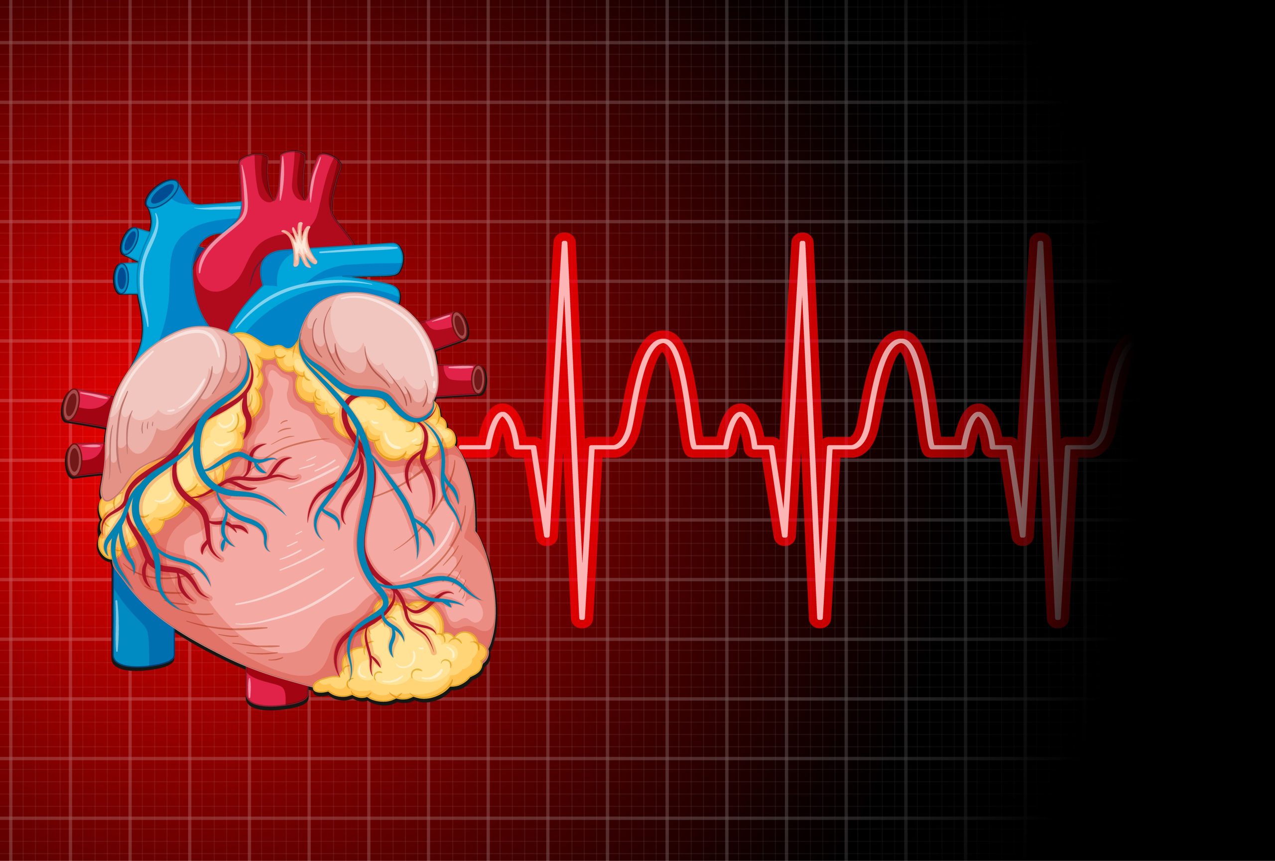 Understanding Abnormal Heart Rhythms: Causes, Symptoms, and Treatments ...