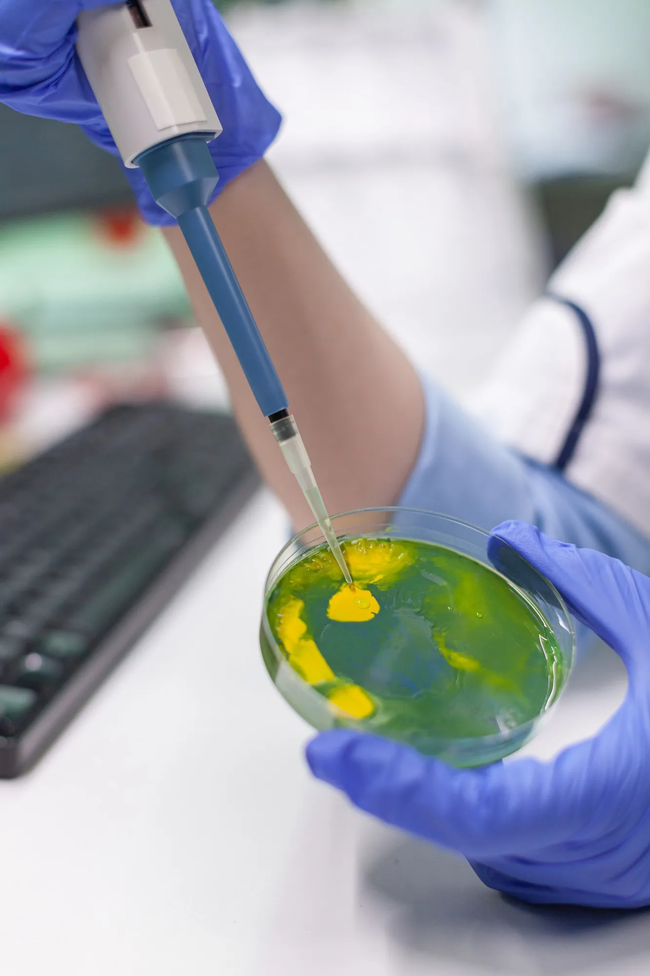 Dynamic Microscale Flow Patterning Unleashed The Future Of