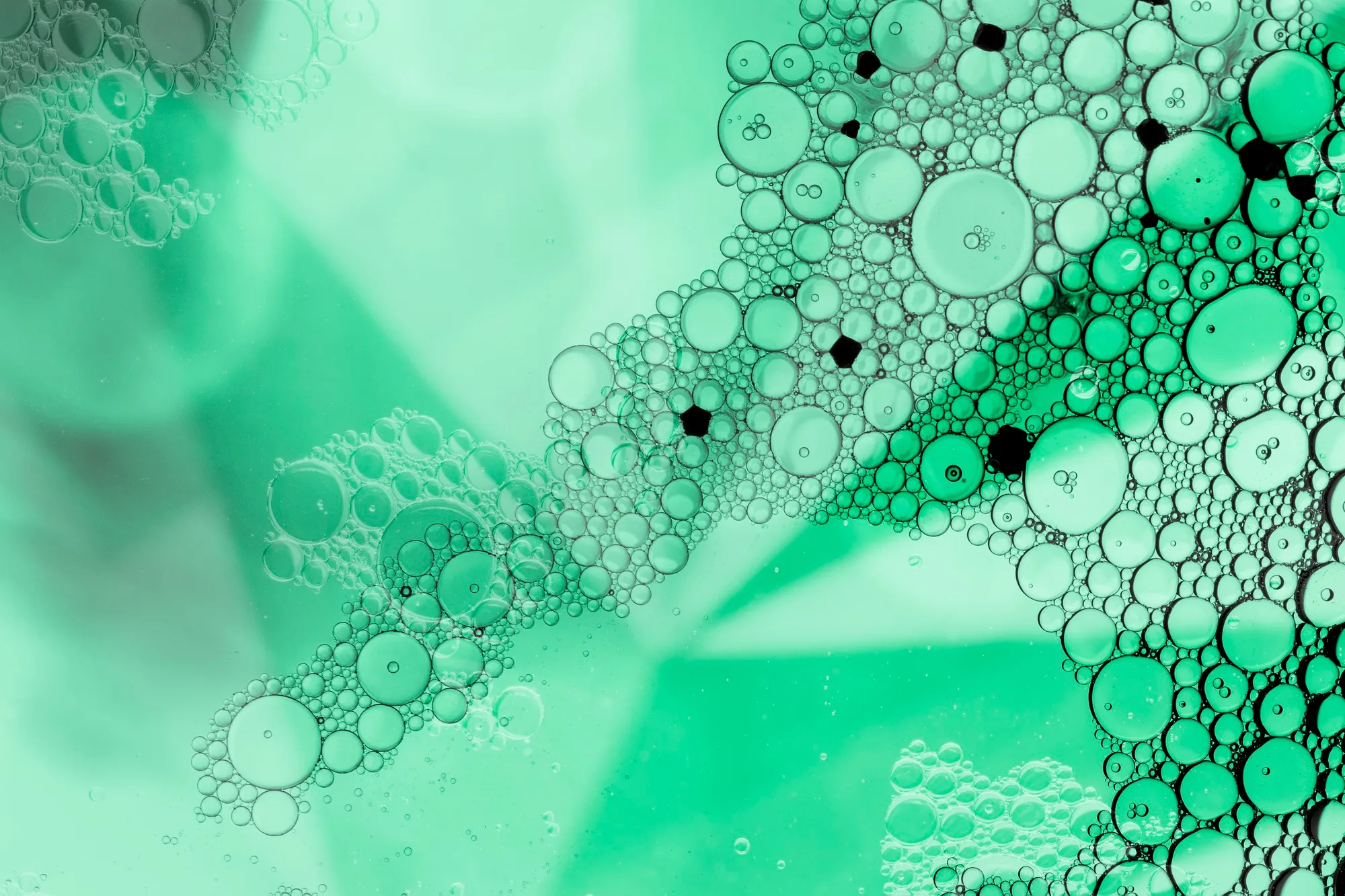 Nanocellulose Revolution: Next-Gen Bio-Nanocomposite Capsules Resist ...